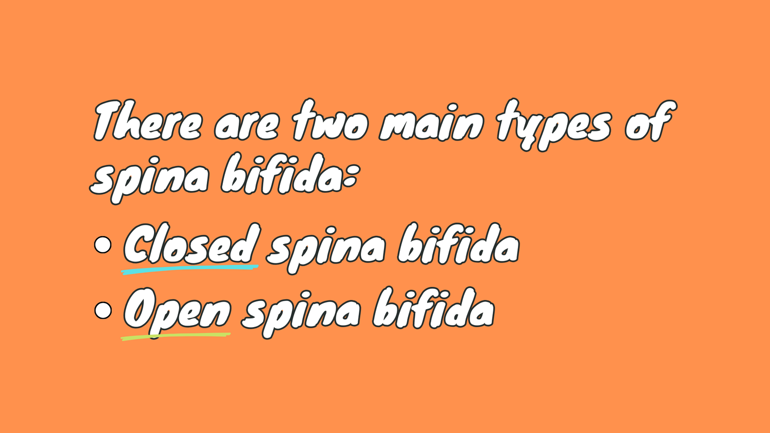 Your Quick Guide to Spina Bifida • SHASBAH